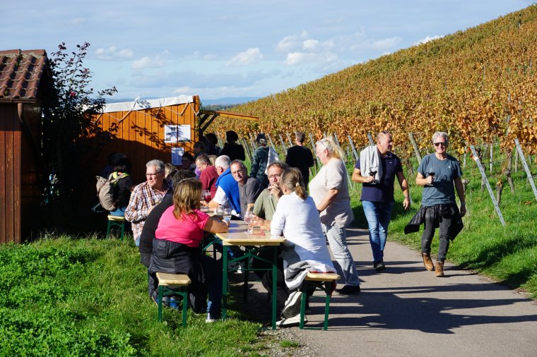 Weinsberger Weinwanderung | Stadt Weinsberg