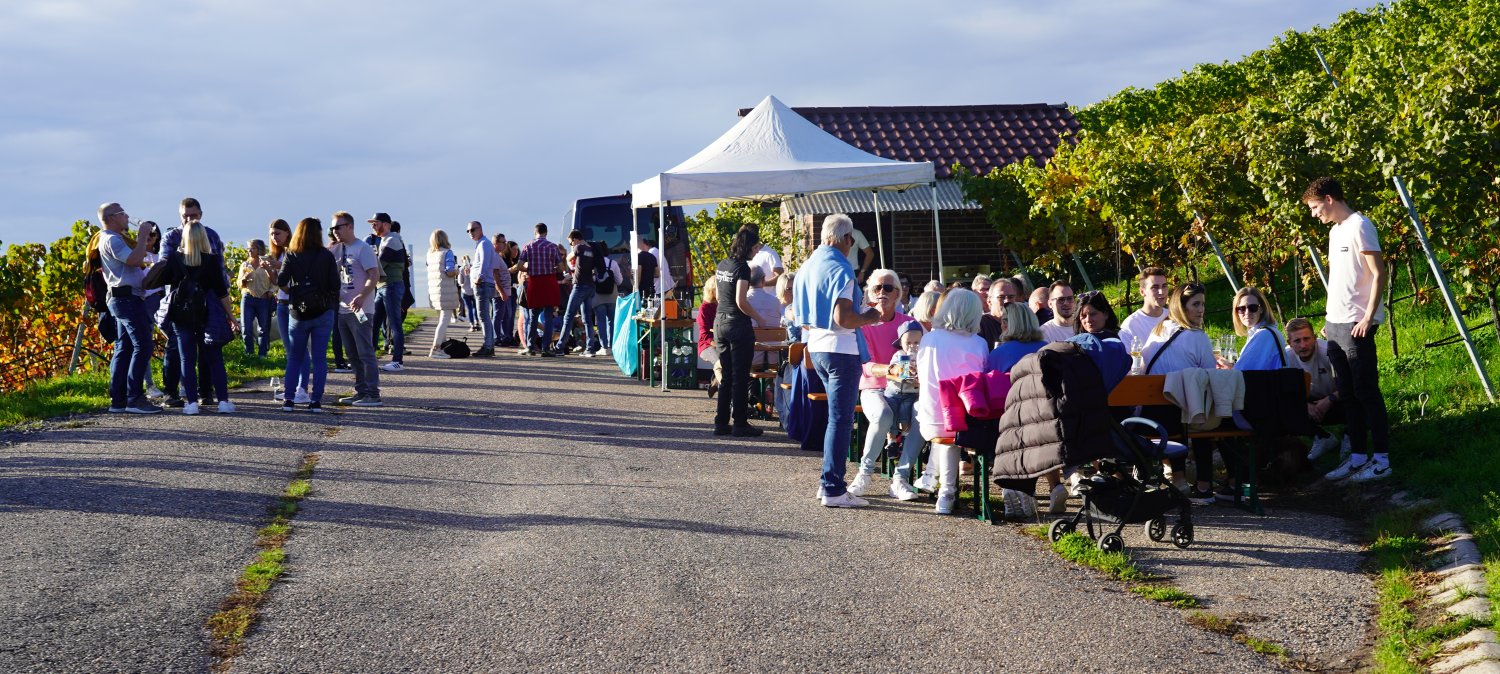 Weinsberger Weinwanderung | Stadt Weinsberg